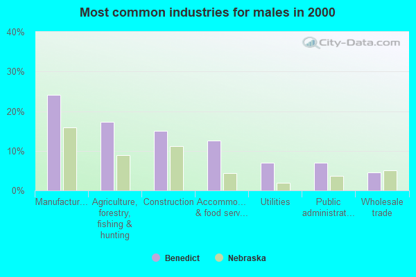 Benedict, Nebraska (NE 68316) profile: population, maps, real estate ...