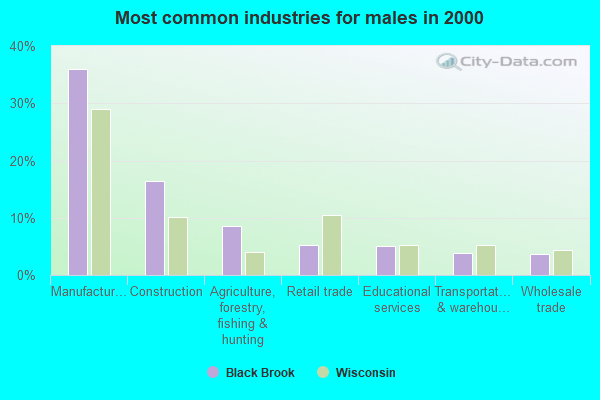 Black Brook, Wisconsin (WI 54005) profile: population, maps, real ...