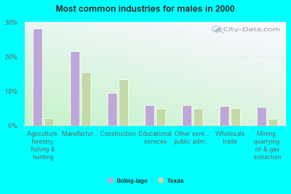 Boling-Iago, Texas (TX 77420) profile: population, maps, real estate ...