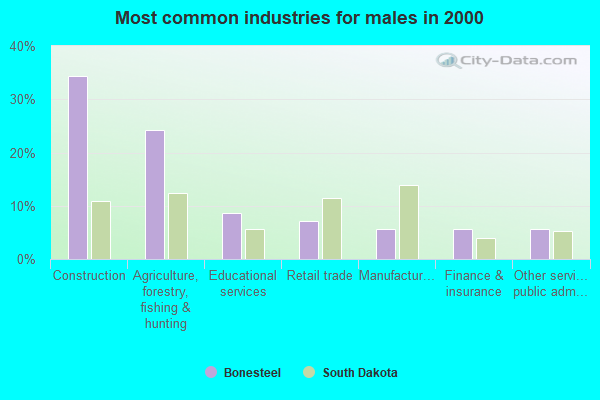 Bonesteel, South Dakota (SD 57317) profile: population, maps, real ...