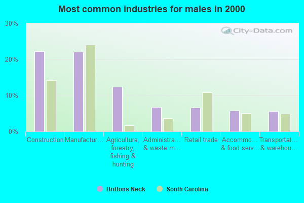 Brittons Neck, South Carolina (SC 29546) profile: population, maps ...