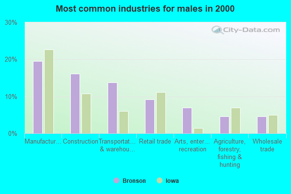 Bronson, Iowa (IA 51007) profile: population, maps, real estate ...