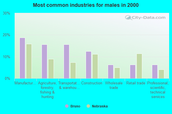 Bruno, Nebraska (NE 68014) profile: population, maps, real estate ...