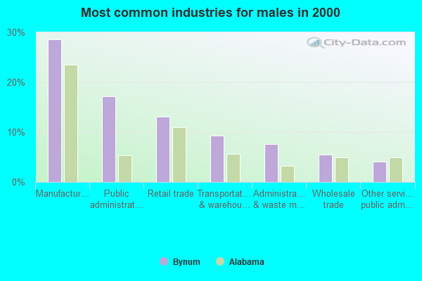 Bynum, Alabama (AL 36260) profile: population, maps, real estate ...