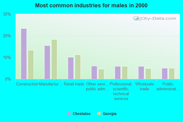 Chestatee, Georgia (GA 30506) profile: population, maps, real estate ...