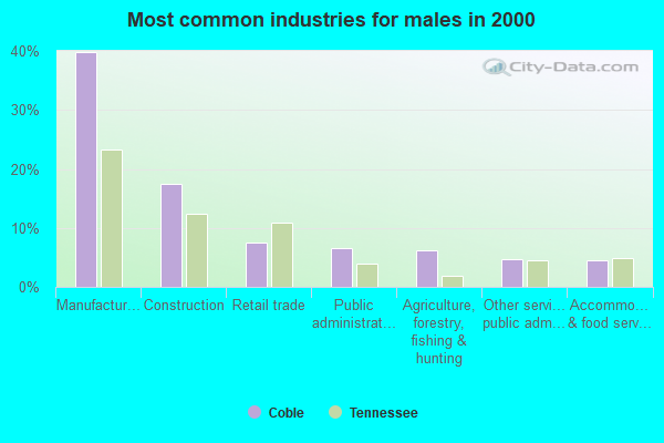 Coble, Tennessee (TN 37033) profile: population, maps, real estate ...