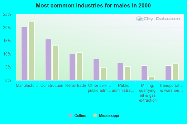 Collins, Mississippi (MS 39428) profile: population, maps, real estate ...