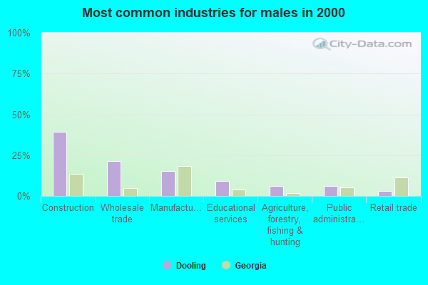 Dooling, Georgia (GA 31063) profile: population, maps, real estate ...