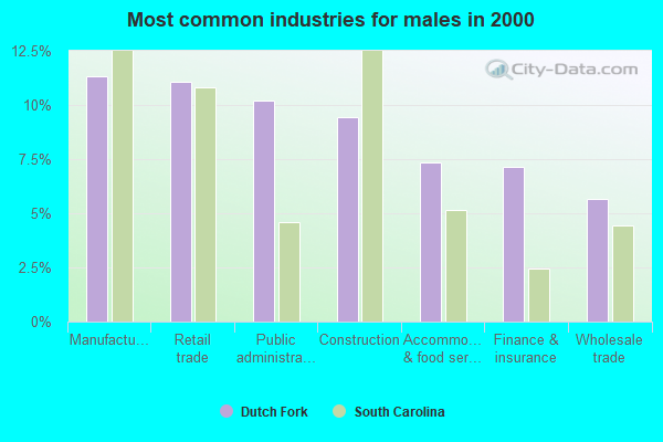 Dutch Fork, South Carolina (SC 29063) profile: population, maps, real ...