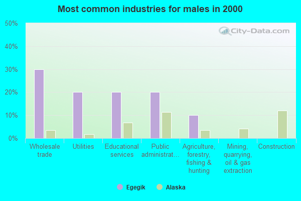 Egegik, Alaska (AK 99579) profile: population, maps, real estate ...