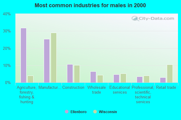 Ellenboro, Wisconsin (WI 53813) profile: population, maps, real estate ...
