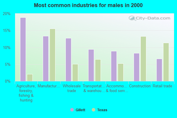 Gillett, Texas (TX 78118) profile: population, maps, real estate ...