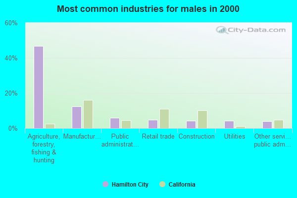 Hamilton City, California (CA 95951) profile: population, maps, real ...