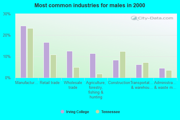 Irving College, Tennessee (TN 37110) profile: population, maps, real ...