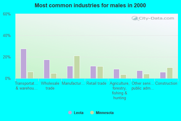 Leota, Minnesota (MN 56153) profile: population, maps, real estate ...
