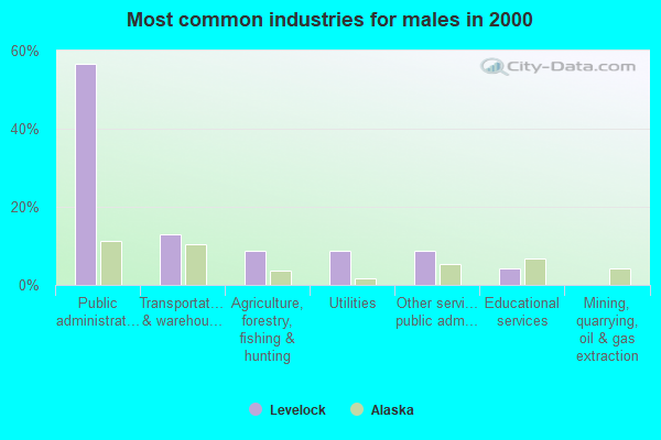 Levelock, Alaska (AK 99625) profile: population, maps, real estate ...