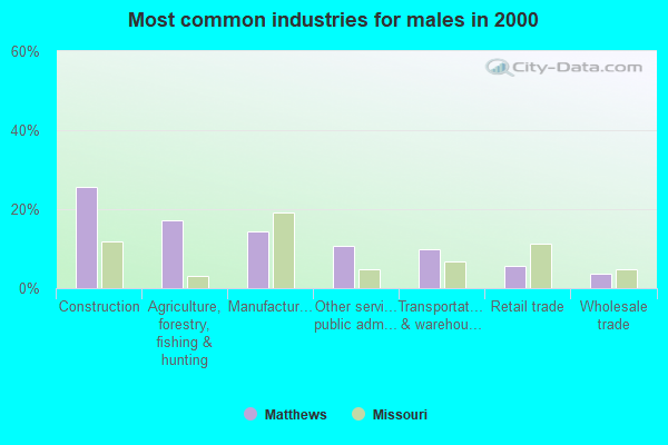 Matthews, Missouri (MO 63867) profile: population, maps, real estate ...