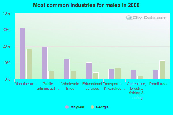 Mayfield, Georgia (GA 31087) profile: population, maps, real estate ...