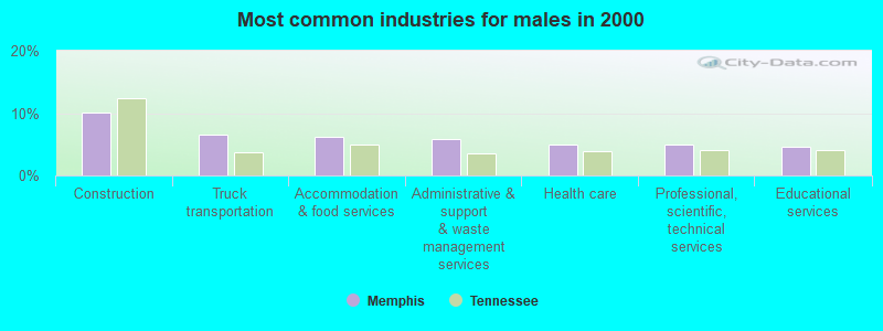 Work and Jobs in Memphis, Tennessee (TN) Detailed Stats: Occupations ...