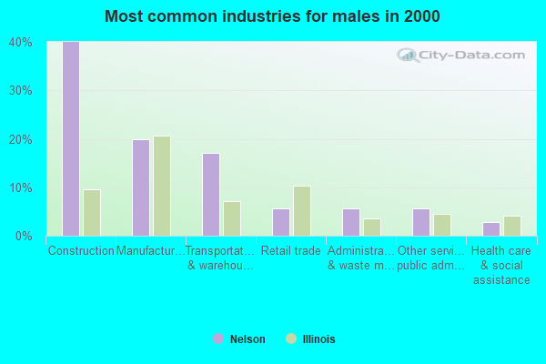 Nelson, Illinois (IL 61071) profile: population, maps, real estate ...