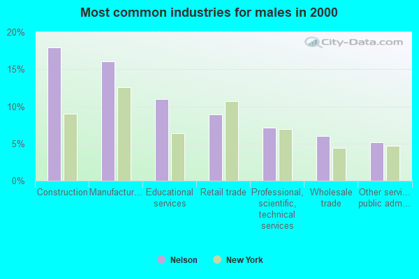 Nelson, New York (NY 13061) profile: population, maps, real estate ...