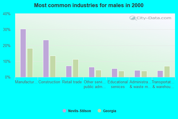 Nevils-Stilson, Georgia (GA 31321) profile: population, maps, real ...