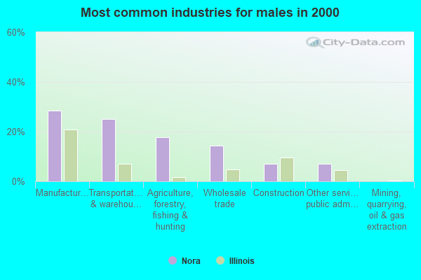 Nora, Illinois (IL 61059, 61087) profile: population, maps, real estate ...