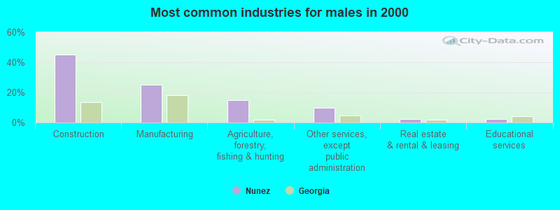 Nunez, Georgia (GA 30448) profile: population, maps, real estate ...