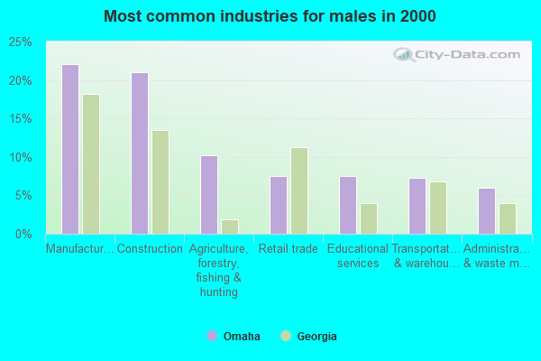 Omaha, Georgia (GA 31815) profile: population, maps, real estate ...