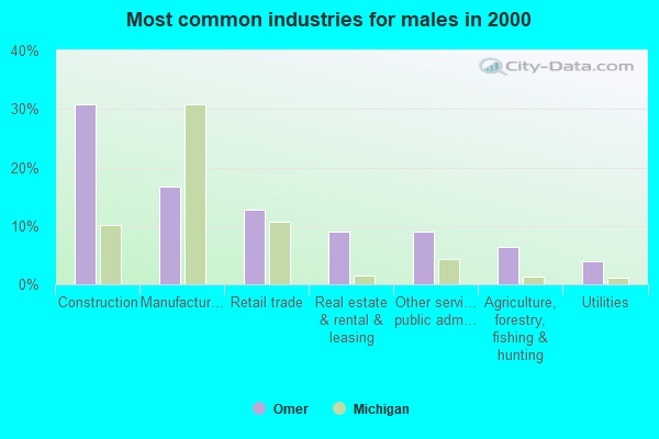 Omer, Michigan (MI 48749) profile: population, maps, real estate ...