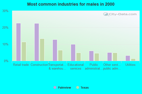 Palmview, Texas (TX 78572) profile: population, maps, real estate, averages, homes, statistics ...