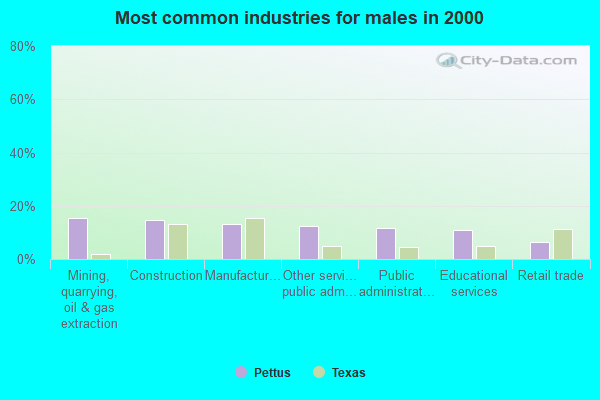 Pettus, Texas (TX 78146, 78162) profile: population, maps, real estate ...