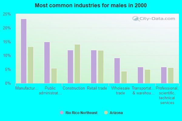 Rio Rico Northeast, Arizona (AZ 85648) profile: population, maps, real ...