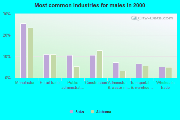 Saks, Alabama (AL 36277) profile: population, maps, real estate ...