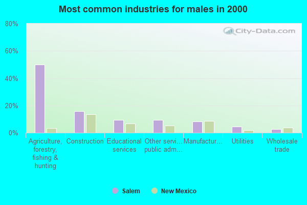 Salem, New Mexico (NM 87941) profile: population, maps, real estate ...
