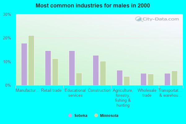 Sebeka, Minnesota (MN 56477) profile: population, maps, real estate ...