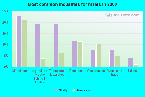 Shelly, Minnesota (MN 56581) profile: population, maps, real estate ...