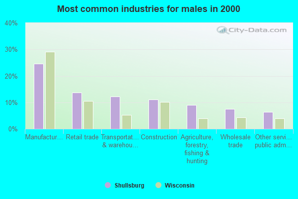 Shullsburg, Wisconsin (WI 53586) profile: population, maps, real estate ...
