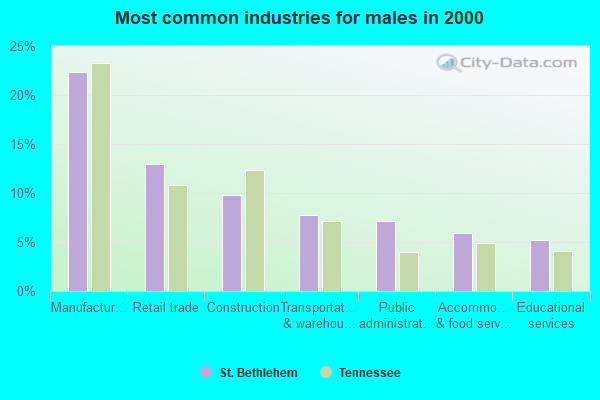 St. Bethlehem, Tennessee (TN 37040) profile: population, maps, real ...