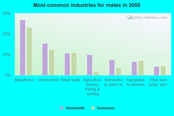 Summitville, Tennessee (TN 37357) profile: population, maps, real ...