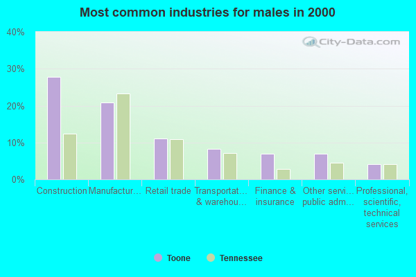 Toone, Tennessee (TN 38381) profile: population, maps, real estate ...