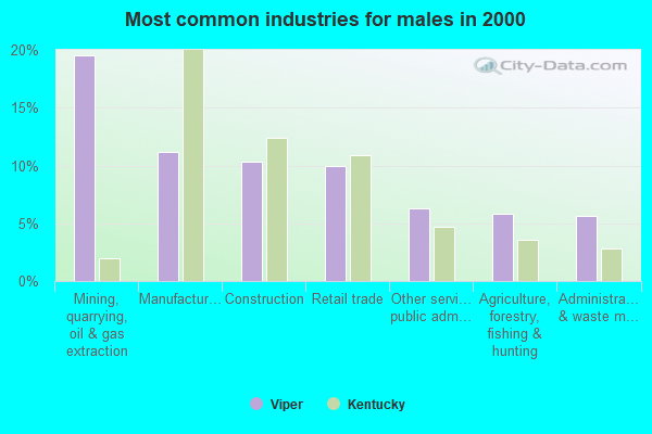 Viper, Kentucky (KY 41774) profile: population, maps, real estate ...
