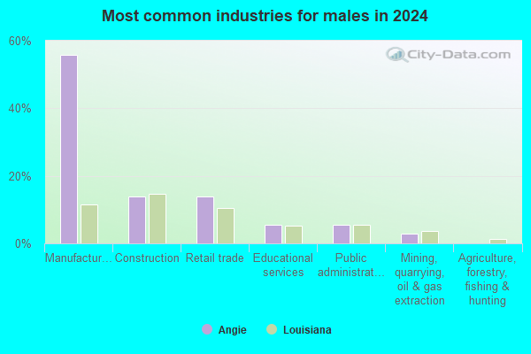 Angie, Louisiana (LA 70426) profile: population, maps, real estate ...