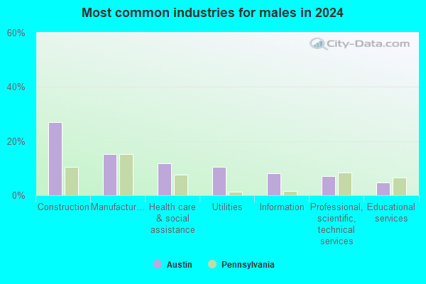 Austin, Pennsylvania (PA 16720) profile: population, maps, real estate ...