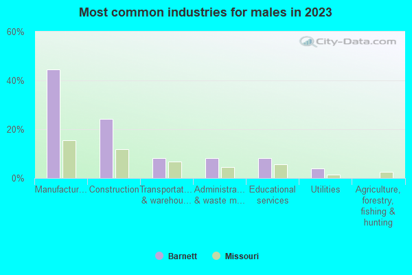 Barnett, Missouri (MO 65011) profile: population, maps, real estate ...