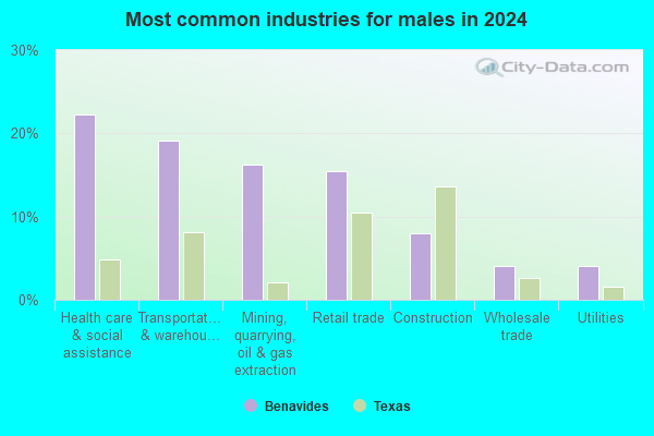 Benavides, Texas (TX 78341) profile: population, maps, real estate ...