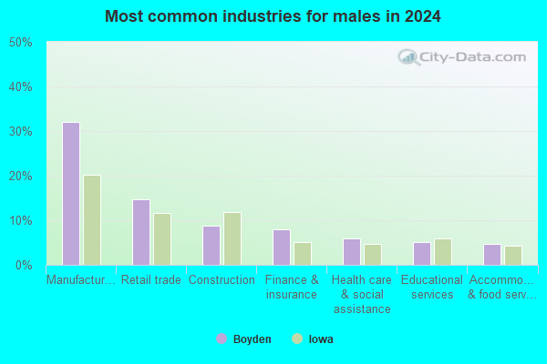 Boyden, Iowa (IA 51234) profile: population, maps, real estate ...