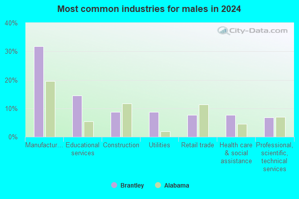 Brantley, Alabama (AL 36009) profile: population, maps, real estate ...