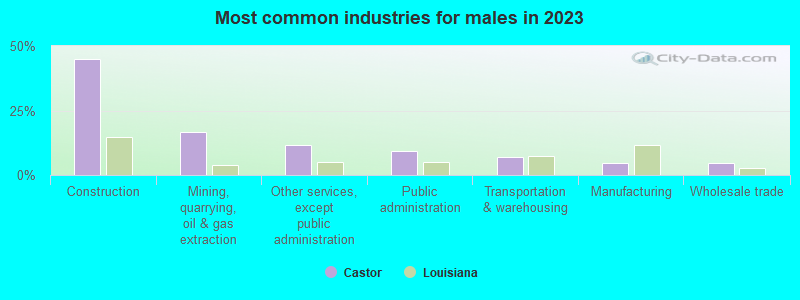 Castor, Louisiana (LA 71016) profile: population, maps, real estate ...
