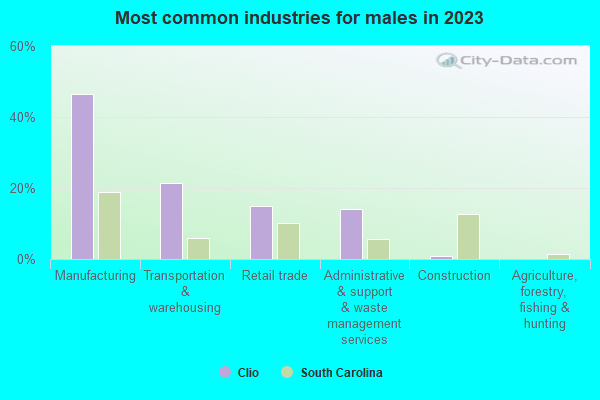 Clio, South Carolina (SC 29525) profile: population, maps, real estate ...